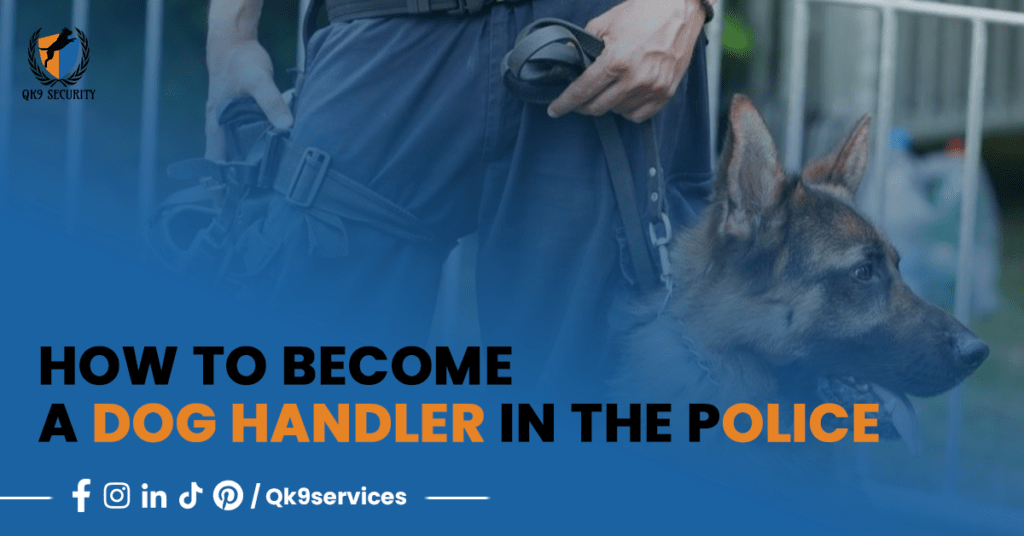 How to Become a Police Dog Handler | QK9 Security Services